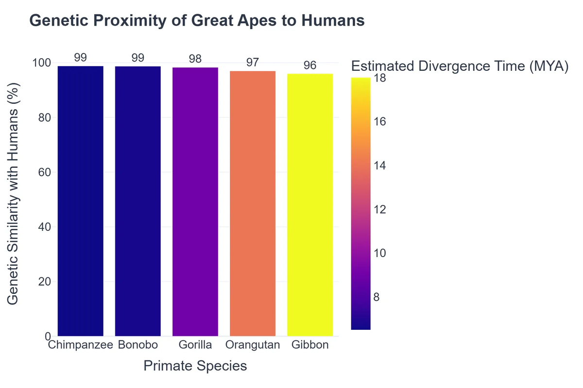 Apes and Human Evolution: Uncovering Shared Ancestry - Clover Chronicle