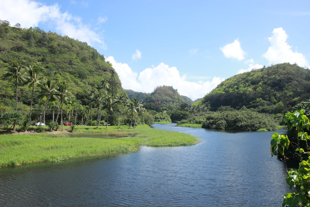 Ecosystem Biodiversity: The Vital Link Between Life and Environment ...